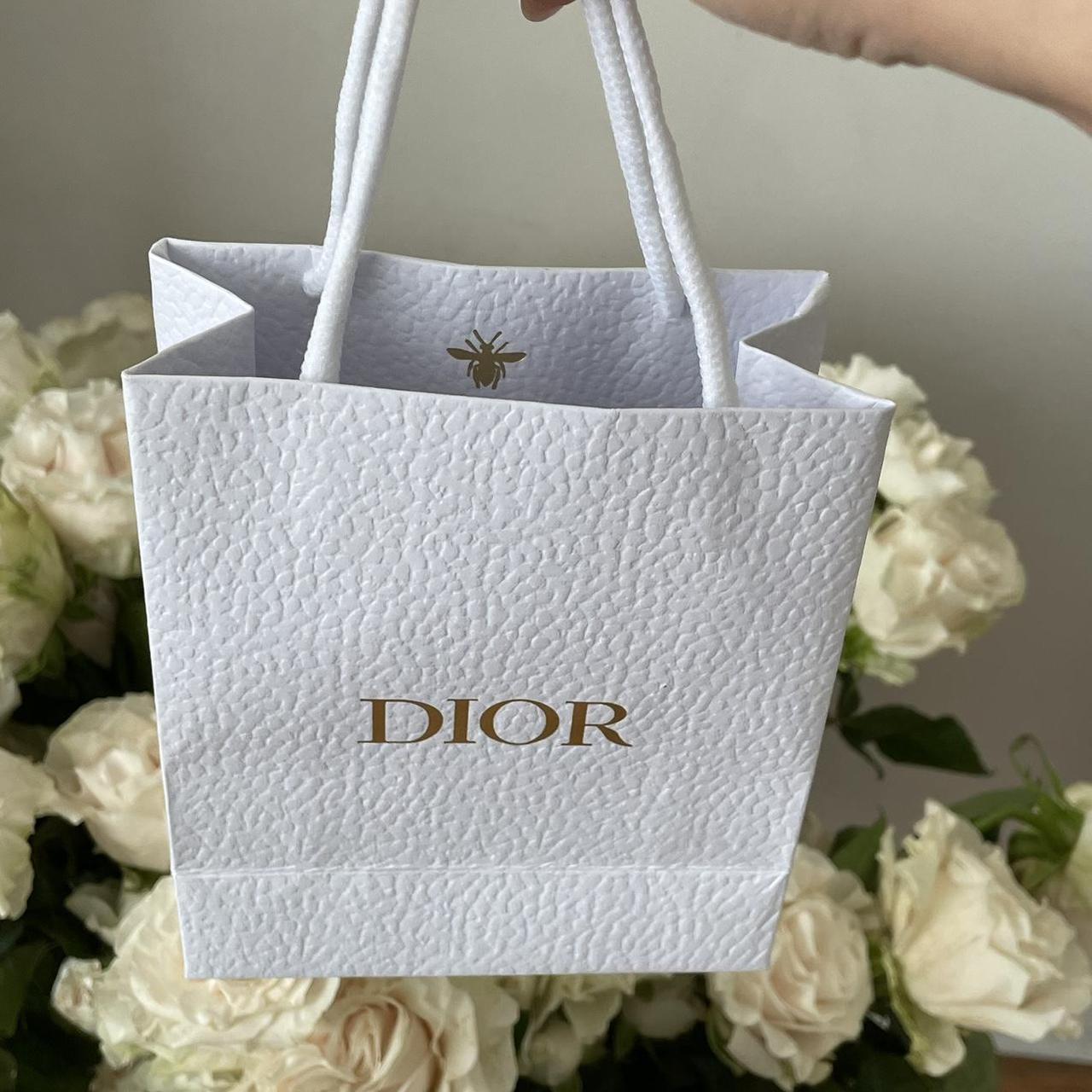 cute mini Dior shopping bag for jewelry/makeup like... - Depop