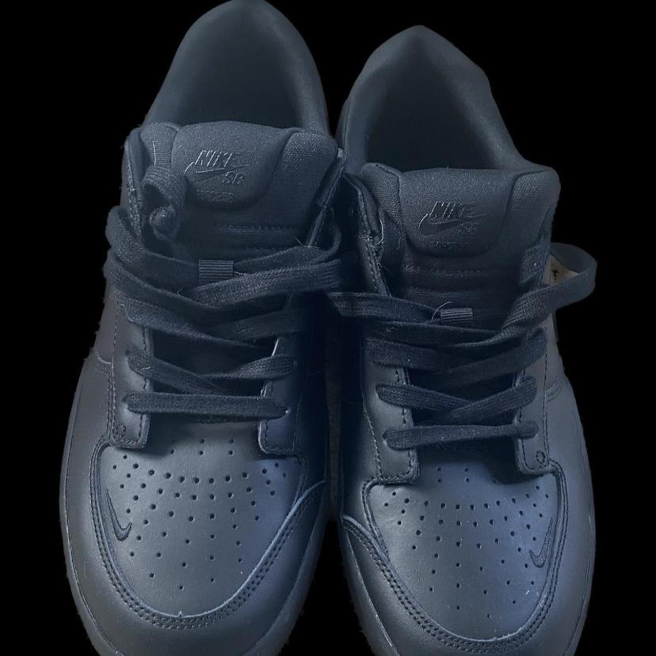 SHEESHHHH NIKE SB, never worn got the box, ready to... - Depop