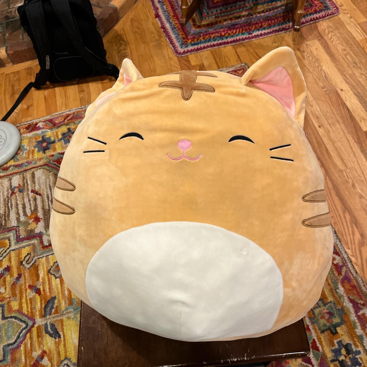 Giant 16 in Cat Squishmallow Great condition... - Depop