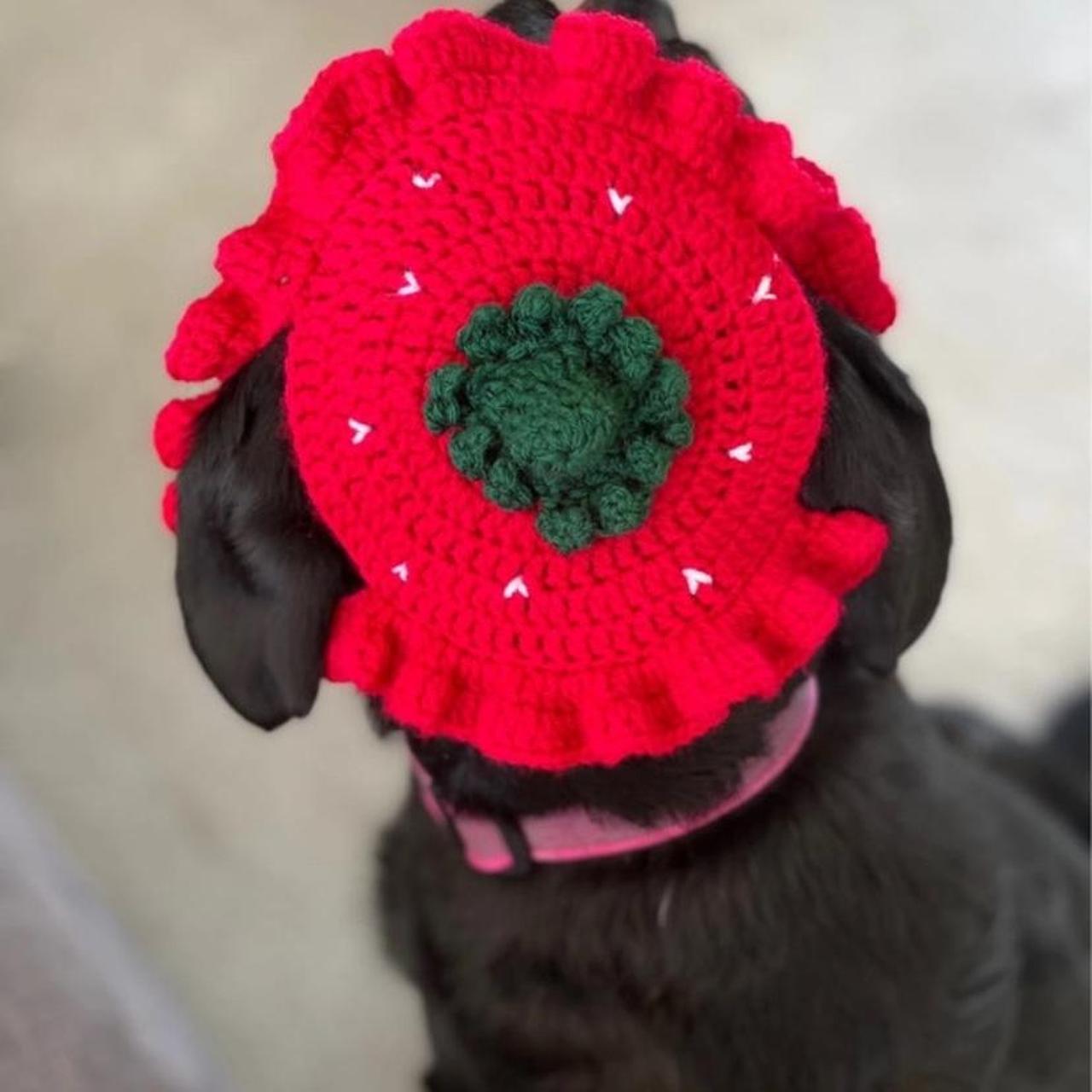 Handmade crochet pet hat Fit for any dog x - Depop