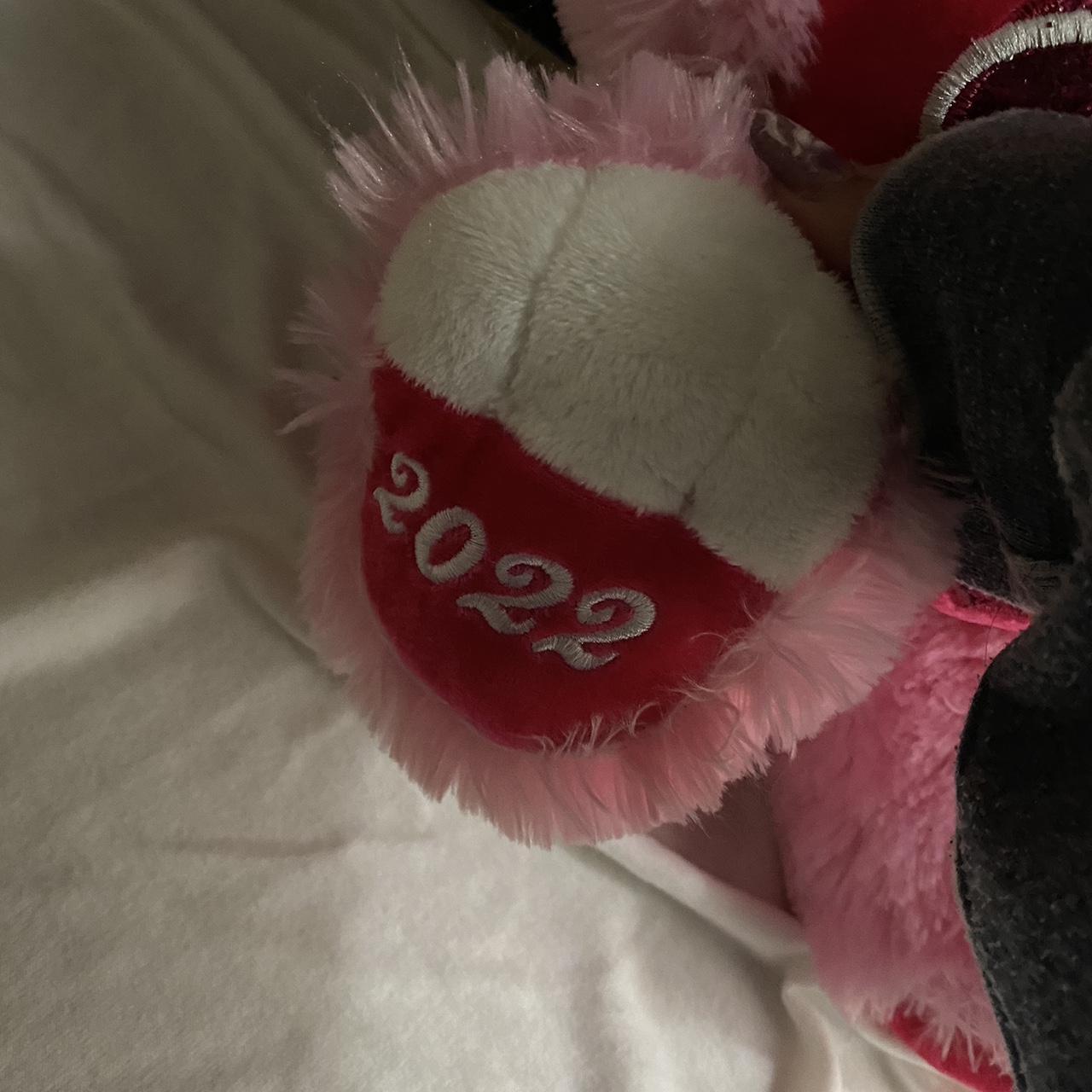 cute 2022 princess pink bear stuffed animal good... - Depop