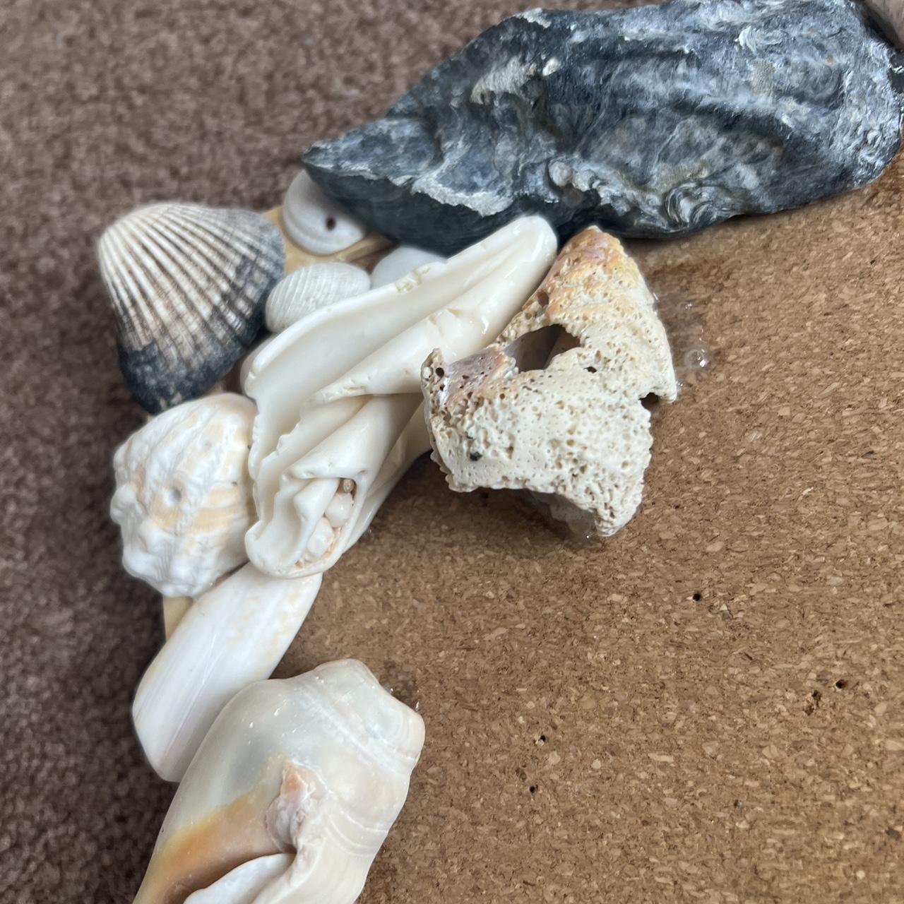 handmade seashell bulletin board • message me for... - Depop