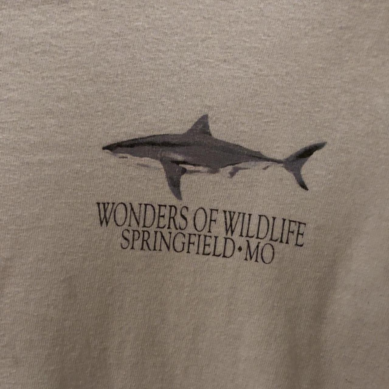 SHARKS OF THE WORLD TEE ★🦈 - Depop