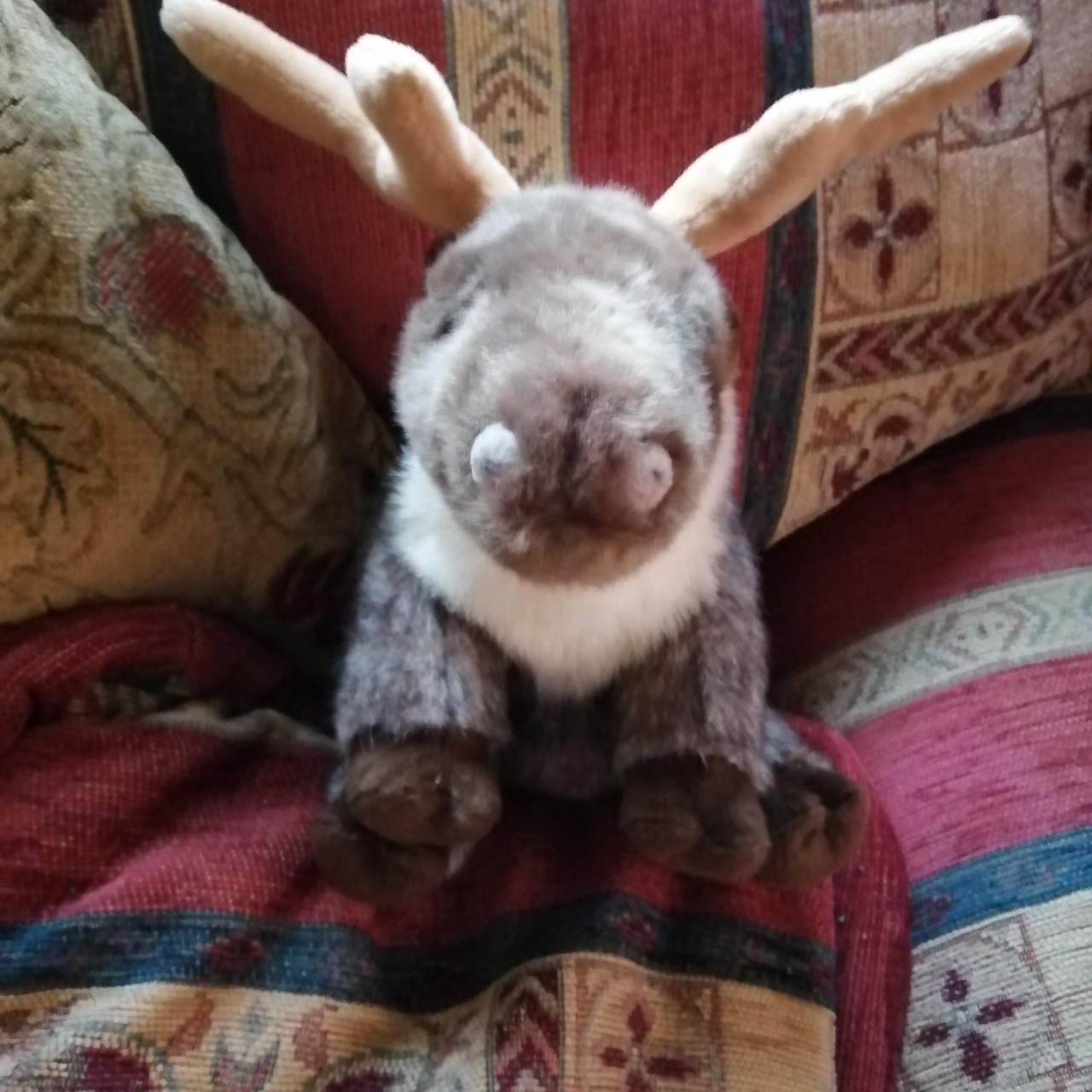 Cuddly moose toy by nature planet Depop