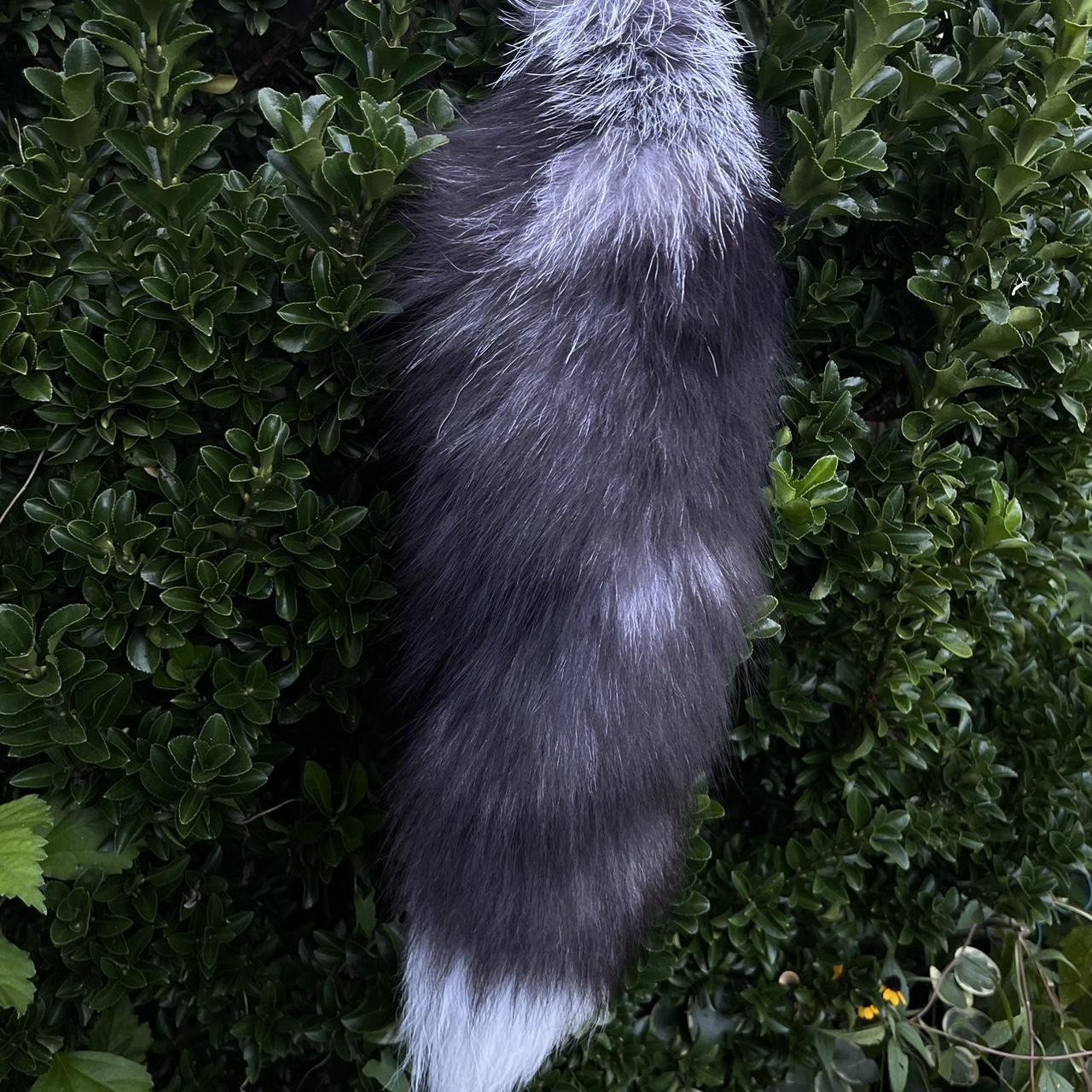 Black and white keychain tail! - Real fur, second... - Depop