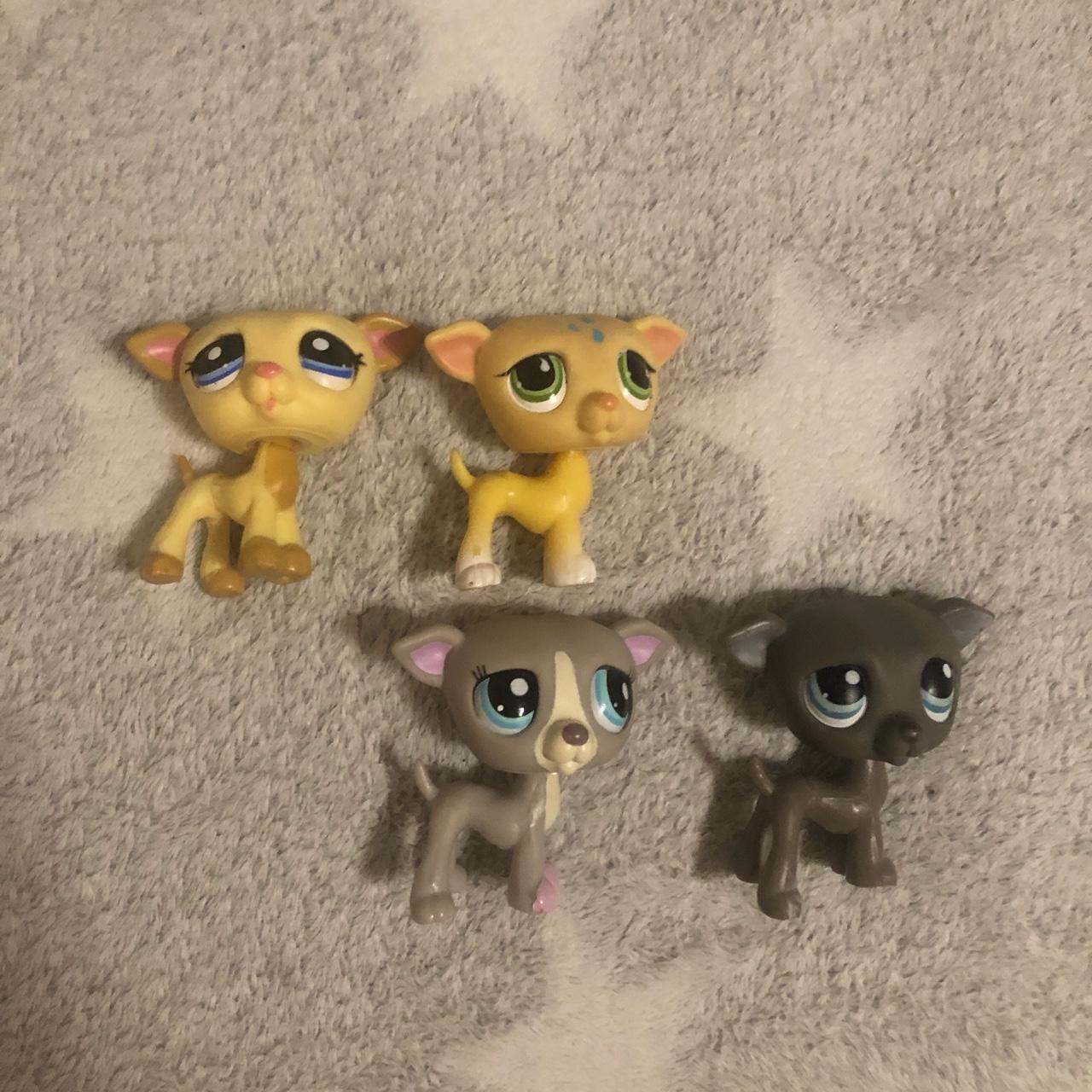 Lps greyhounds one for 15$ - Depop