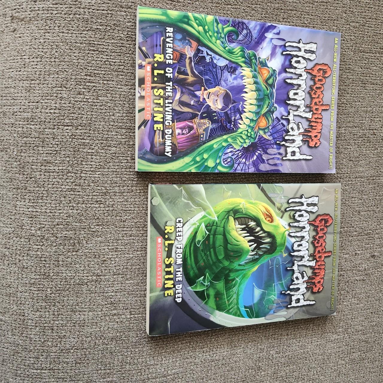 Goosebumps bundle book - Depop