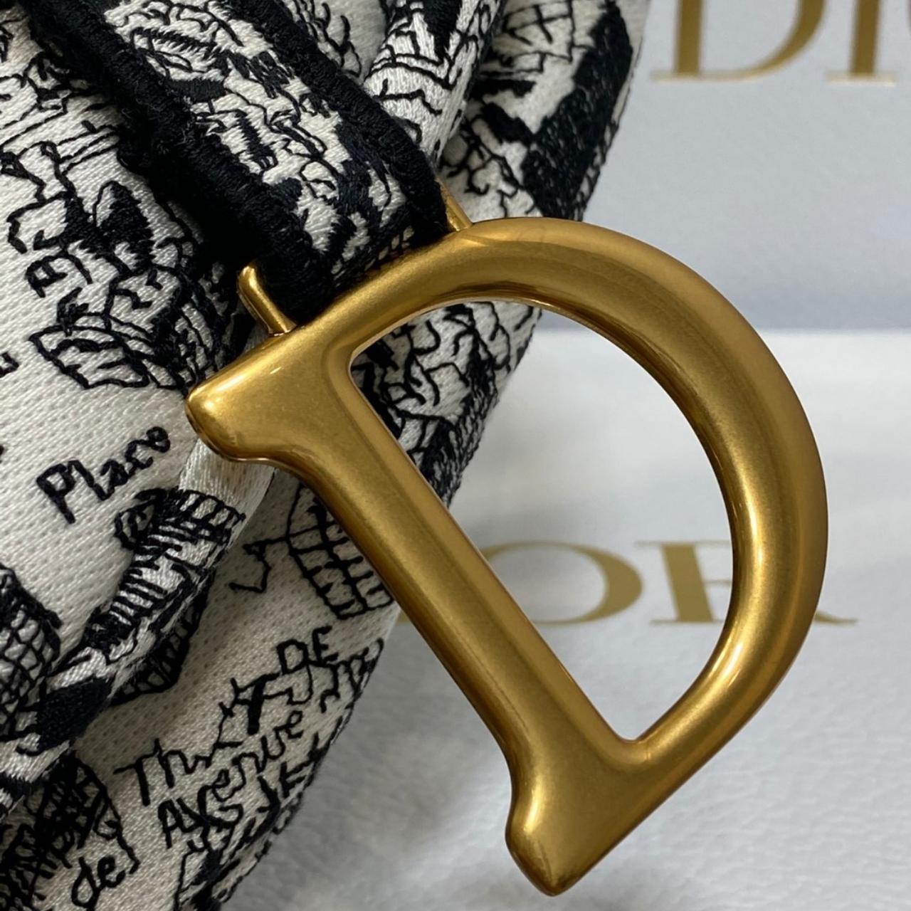 Dior Paris Map Saddle Bag The Dior Paris Map Saddle... - Depop