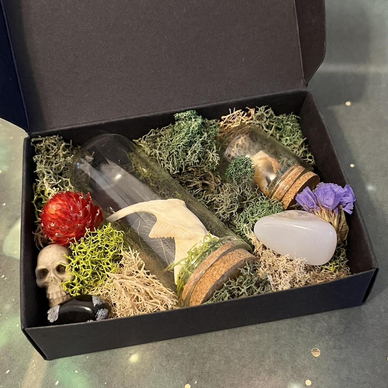 assorted oddities box swipe for close-up of cloche... - Depop