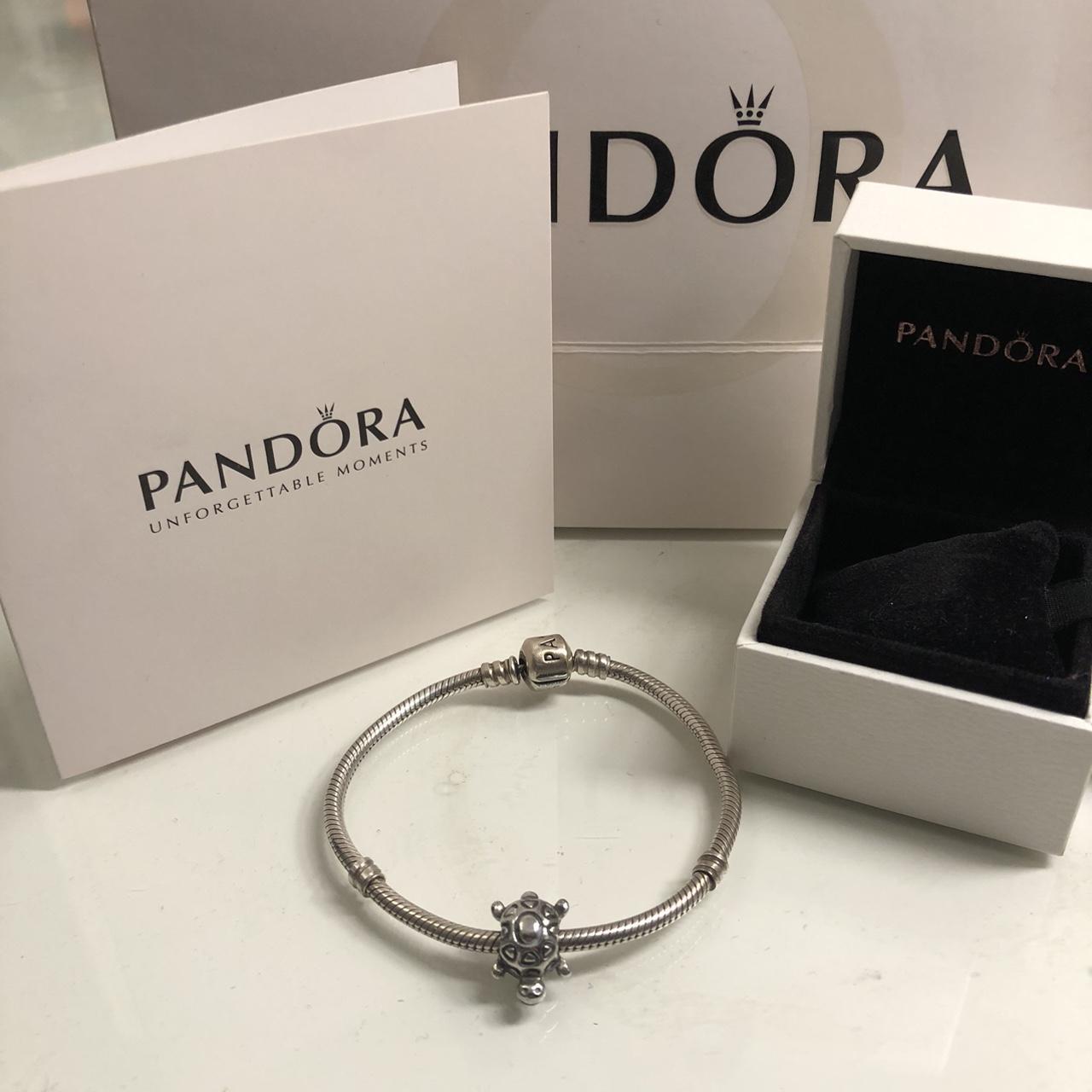 Pandora Turtle Charm - original Pandora box... - Depop