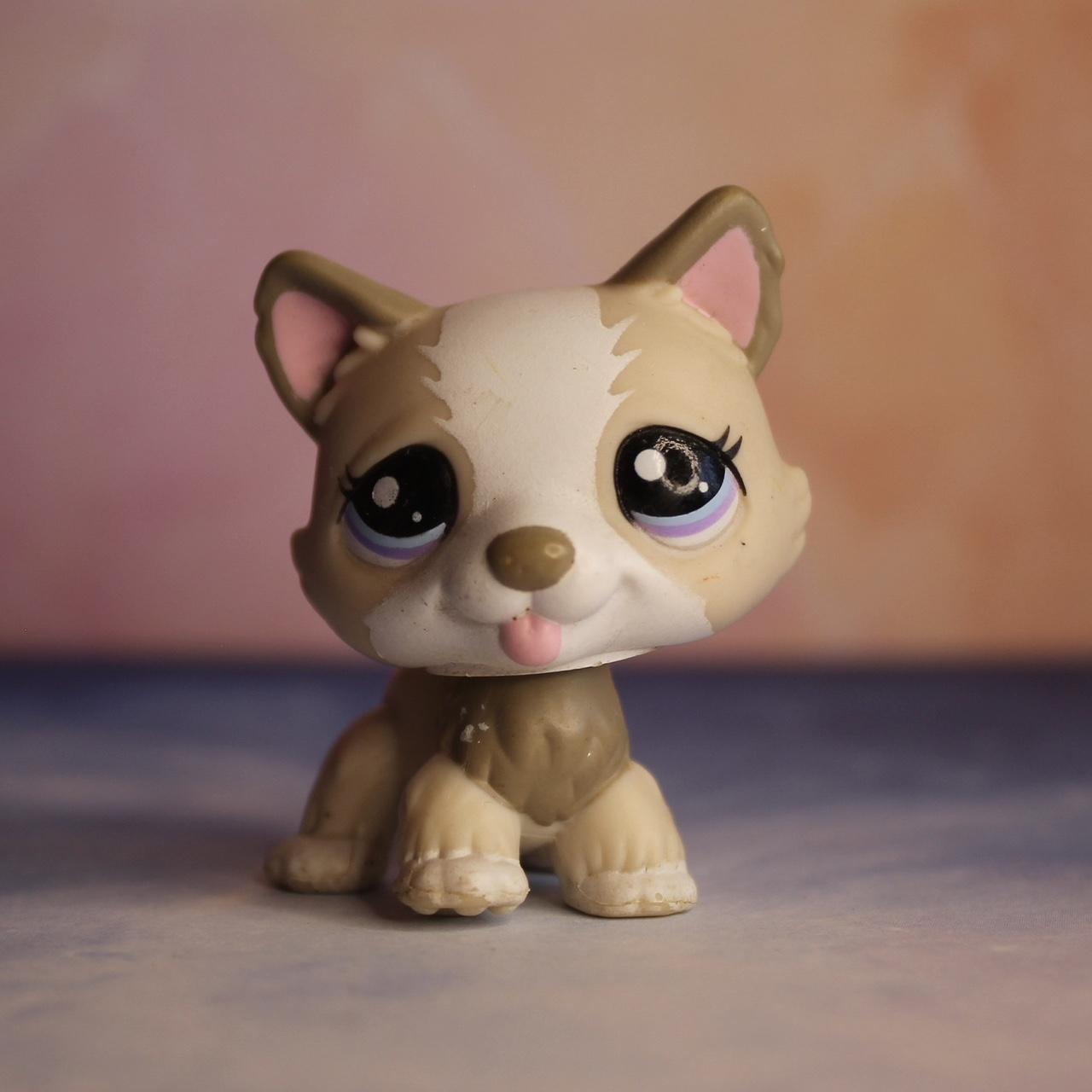 LPS Husky 1817 -If You Have Questions feel free to... - Depop