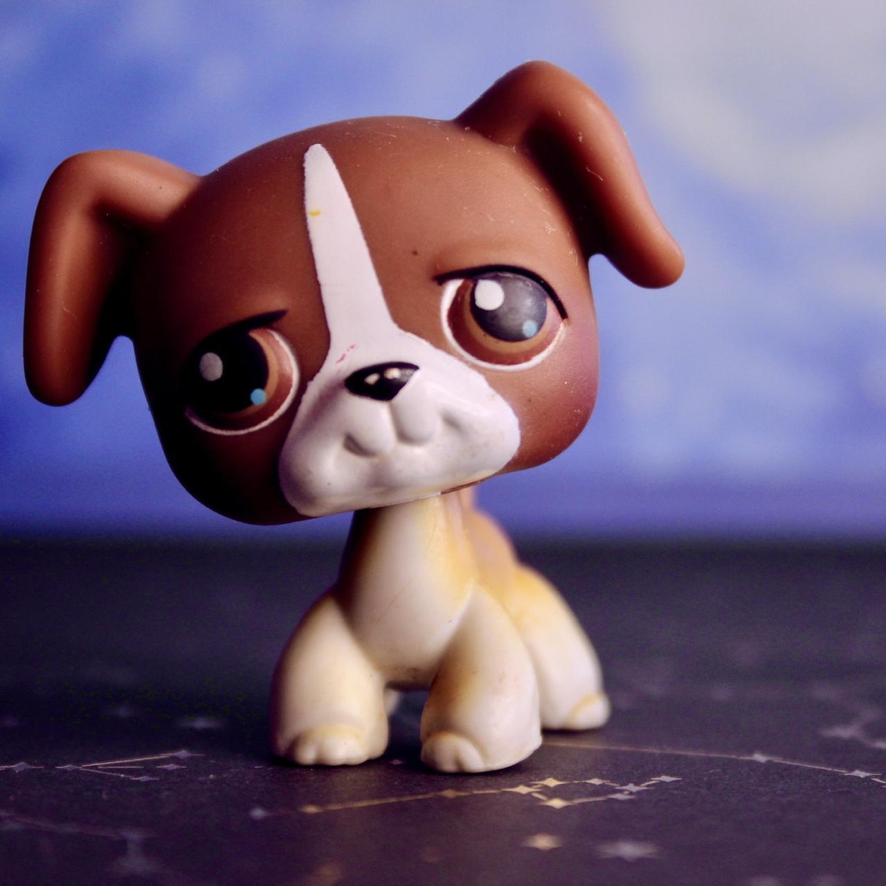 LPS Boxer Dog 25 -If You Have Questions feel free... - Depop