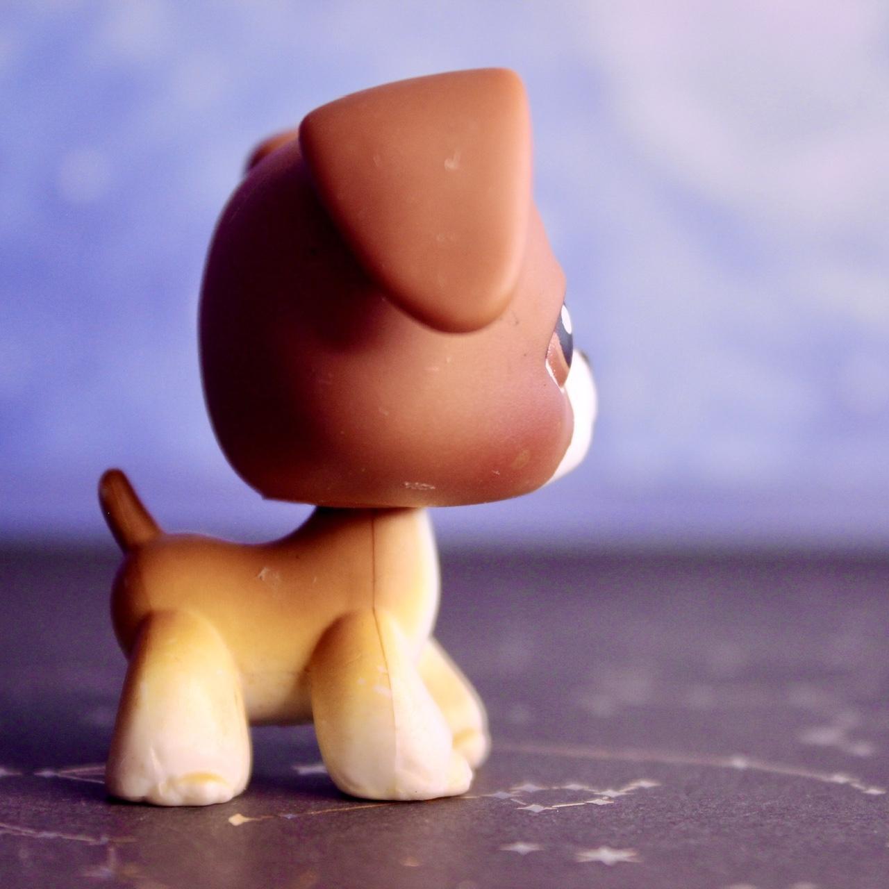 LPS Boxer Dog 25 -If You Have Questions feel free... - Depop