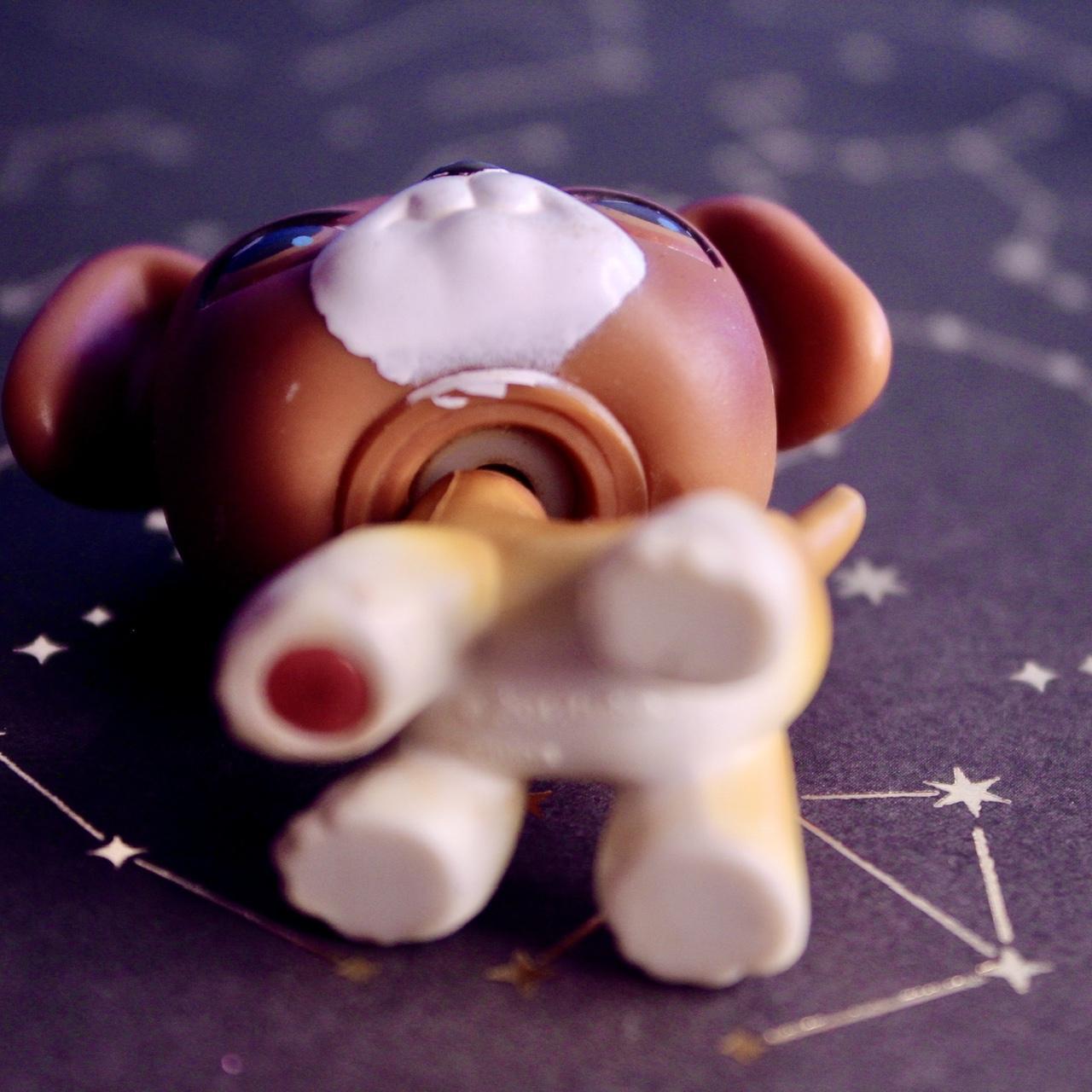 LPS Boxer Dog 25 -If You Have Questions feel free... - Depop