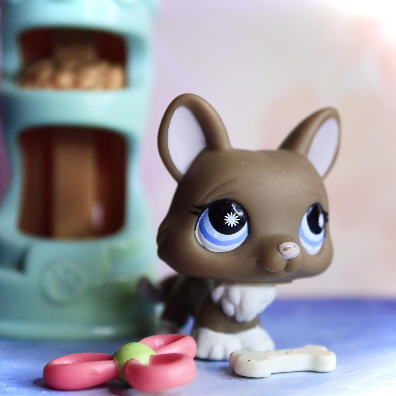 Rare LPS Bonus Target Exclusive Corgi... - Depop