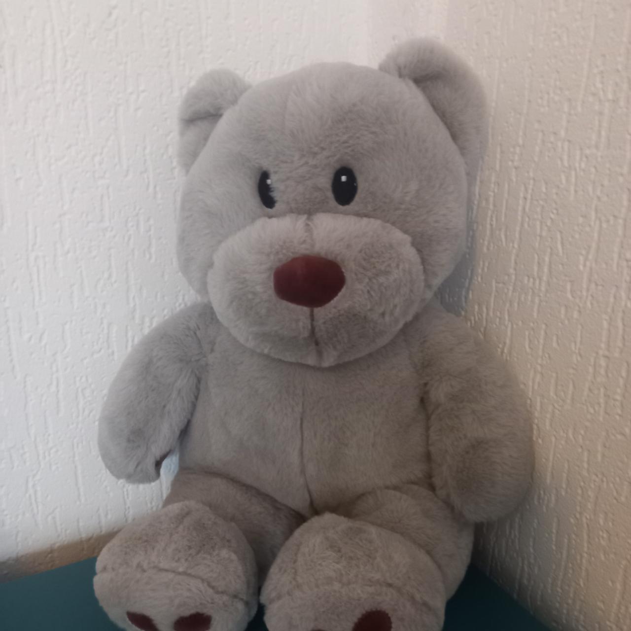 Animal Adventure Teddy Bear, 40cm - Depop