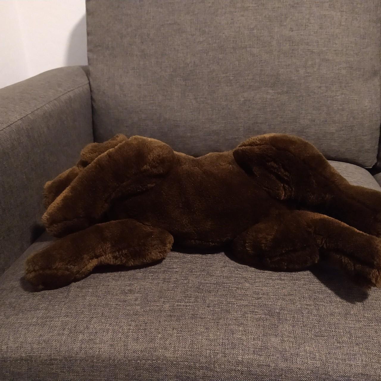 Adorable chocolate lab stuffed animal - Depop