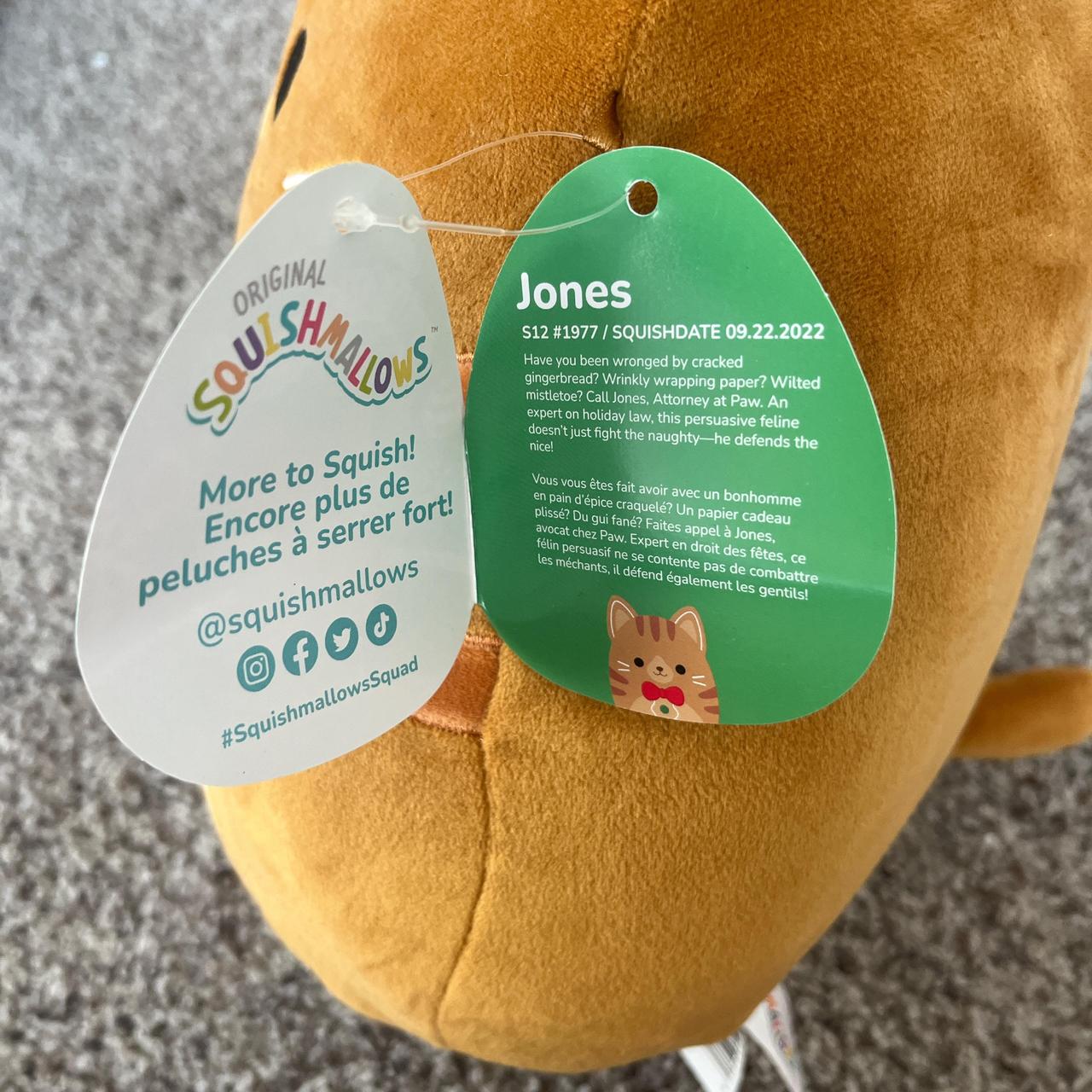 gingerbread cat Squishmallow #holiday... | Depop