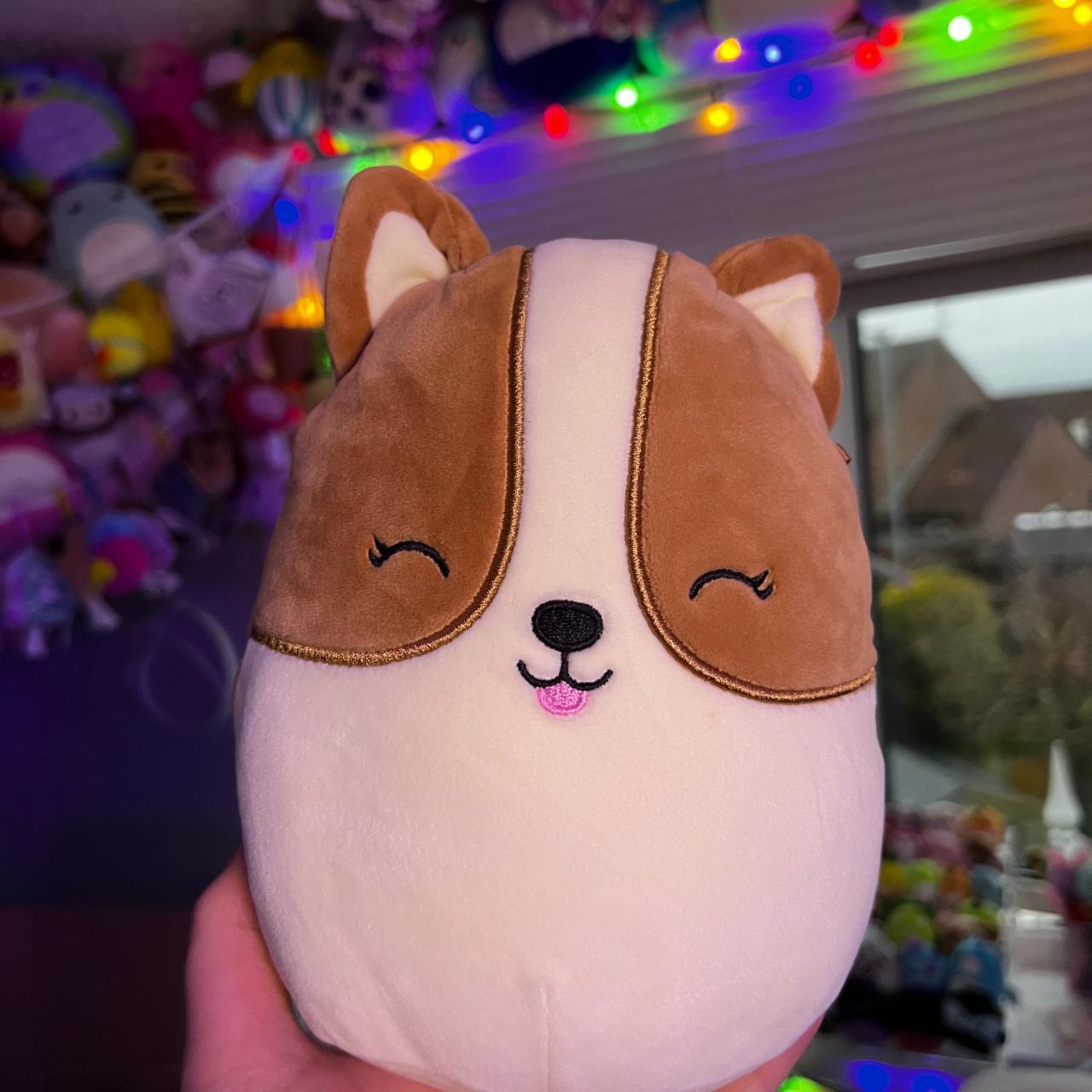 Squishmallow Regina De Corgi 8 Inch Plush No tags... - Depop