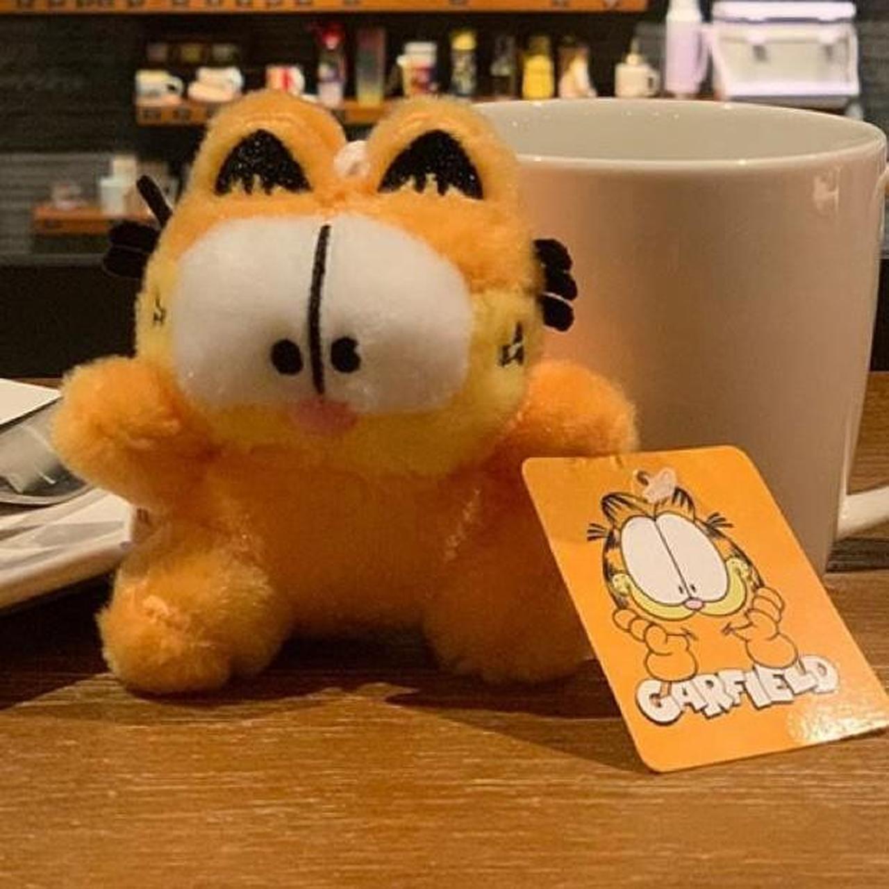 mini Garfield plushie with keychain message me to... - Depop