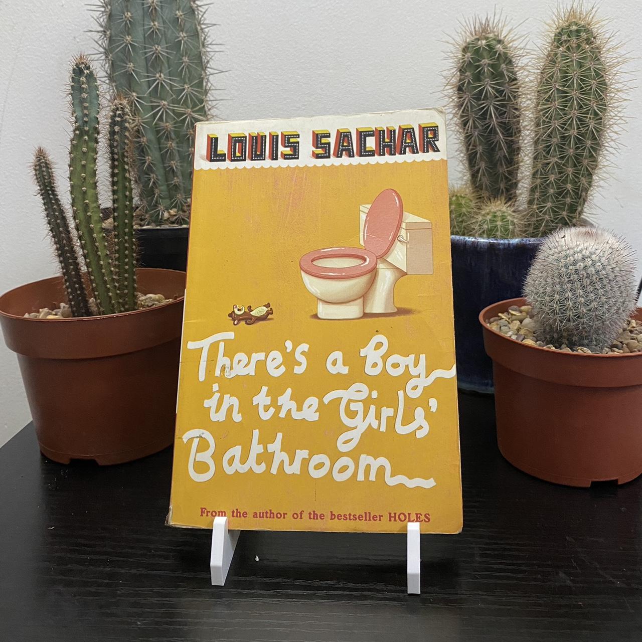 THERES A BOY IN THE GIRLS BATHROOM BOOK/ By Louis... - Depop