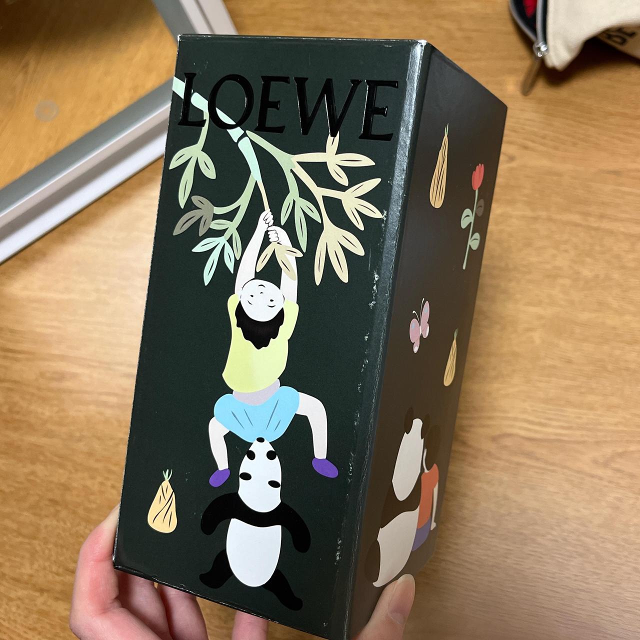 Loewe Boxes - Depop