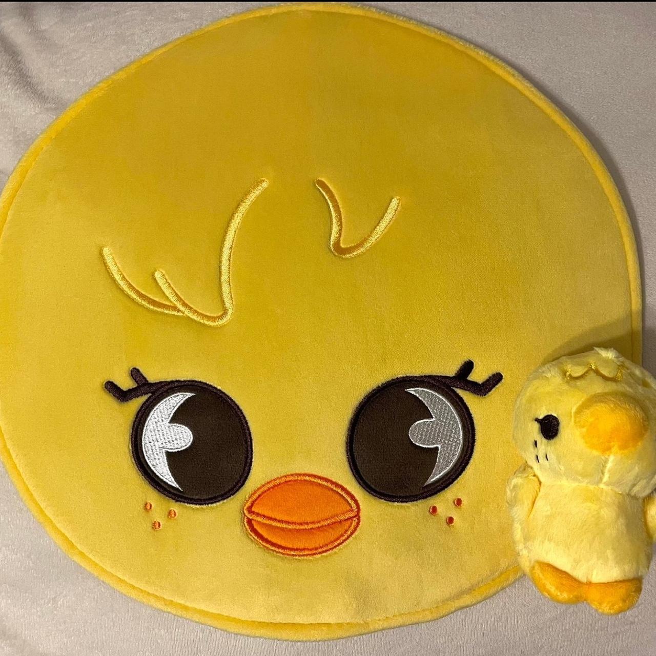 Stray Kids official Bokkari Skzoo picket cover with... | Depop