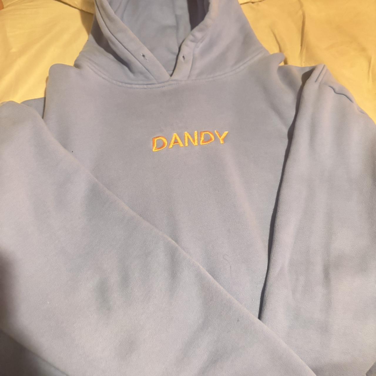 Blue Sunset Dandy Worldwide hoodie This is size... | Depop