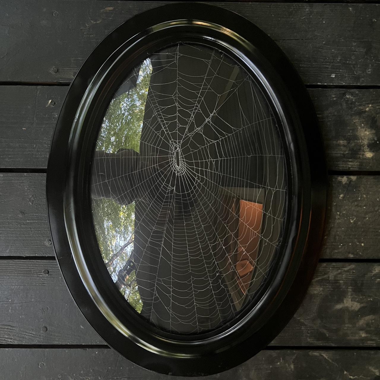 real preserved spiderweb in antique large gothic... - Depop