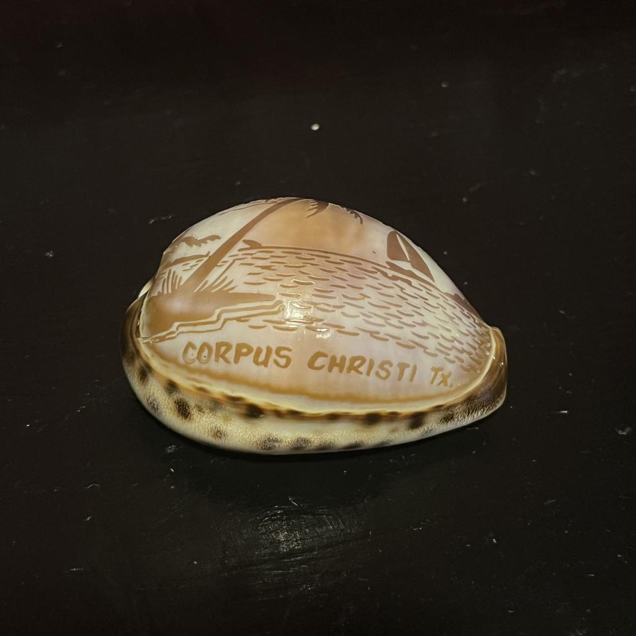Engraved seashell 🐚 -Corpus Christi, TX -made in... - Depop