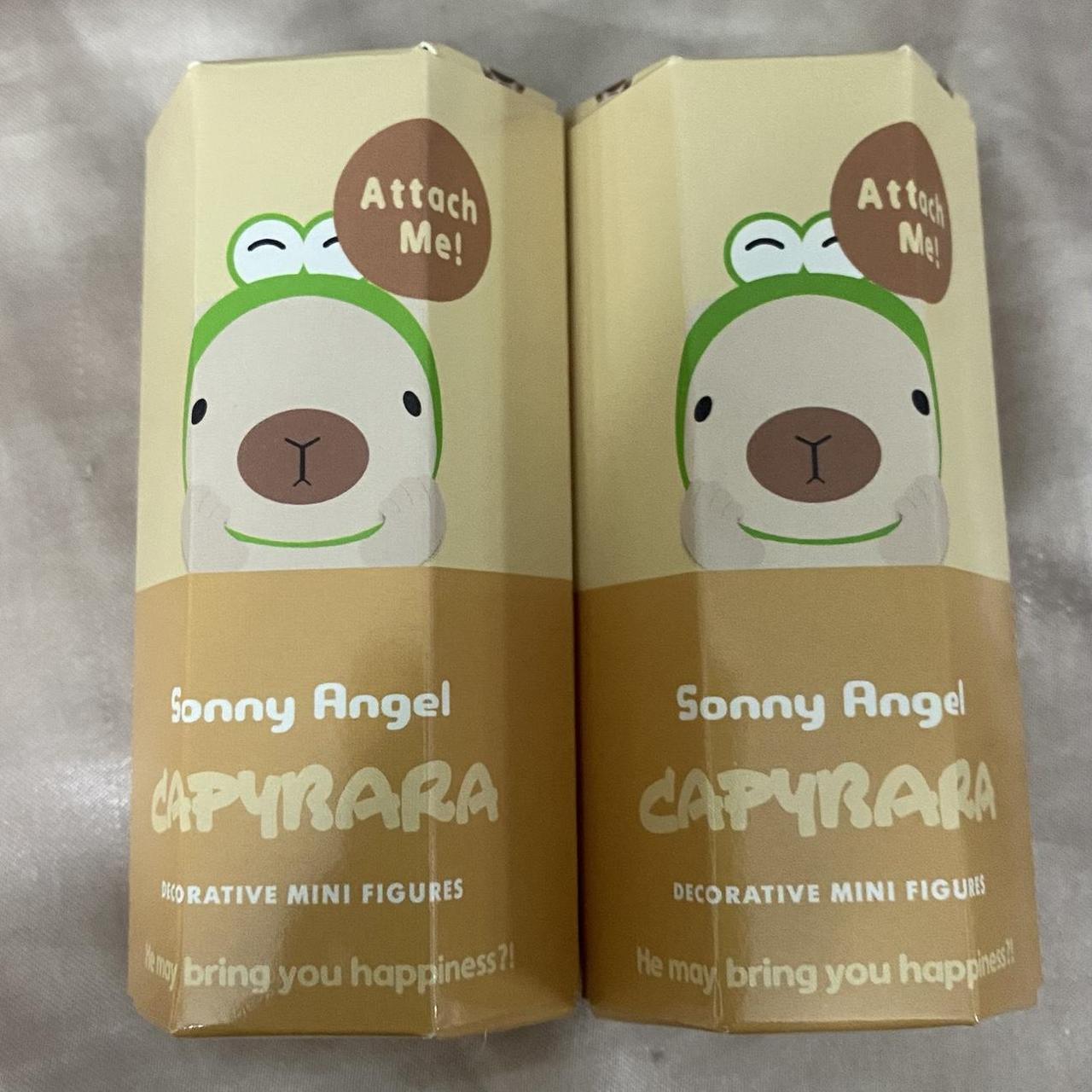 capybara hippers super cute! good quality... | Depop