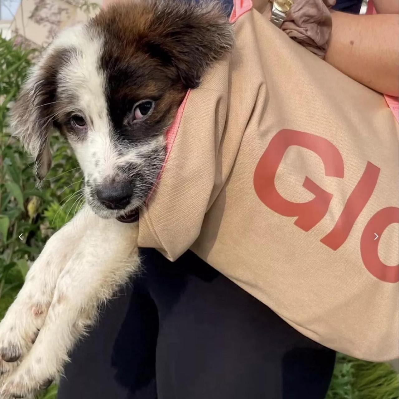 Glossier duffle bag in Tan and pink with adjustable... - Depop