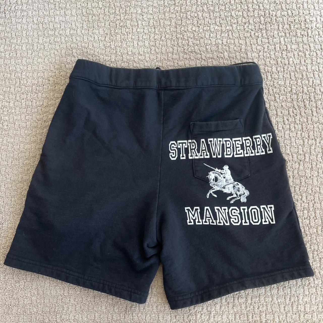 Strawberry Mansion Shorts Size M in the pic it... - Depop