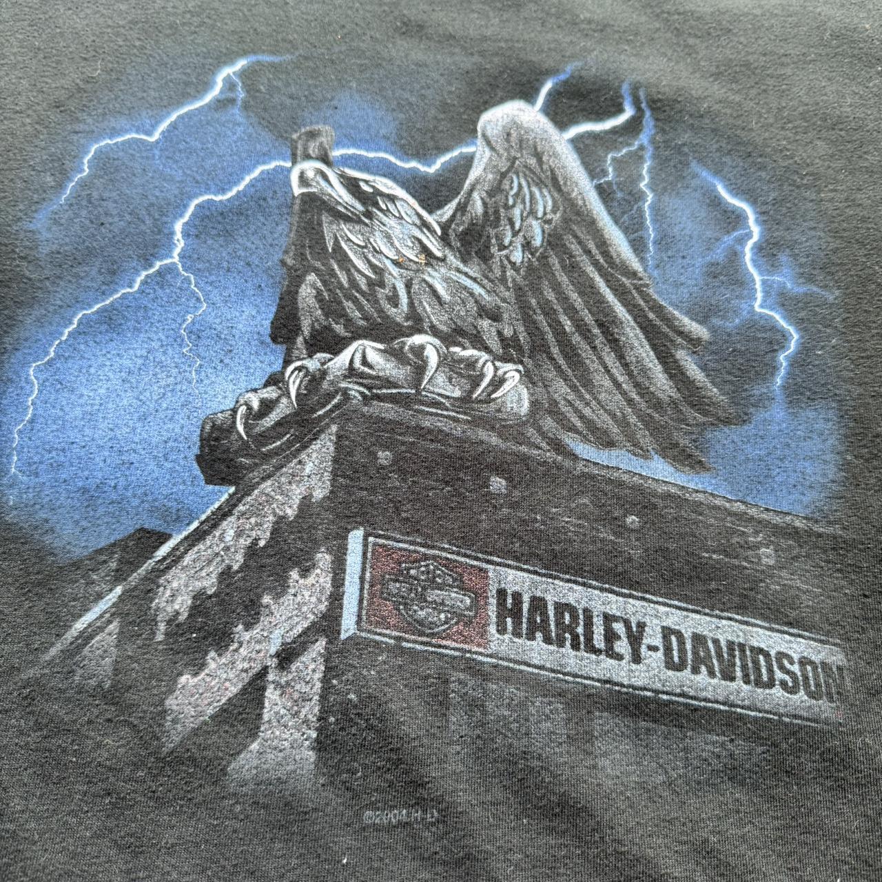 2004-2006 Harley Davison “gargoyle/ tail of the... - Depop
