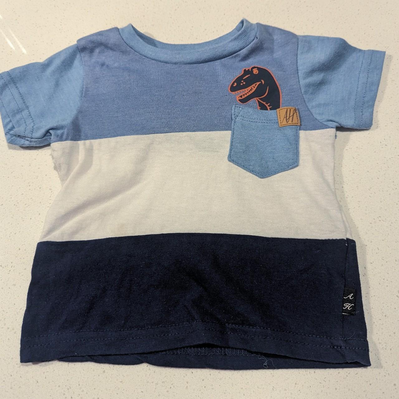 American Hawk Dinosaur T Shirt Boys Size 12M Short... - Depop