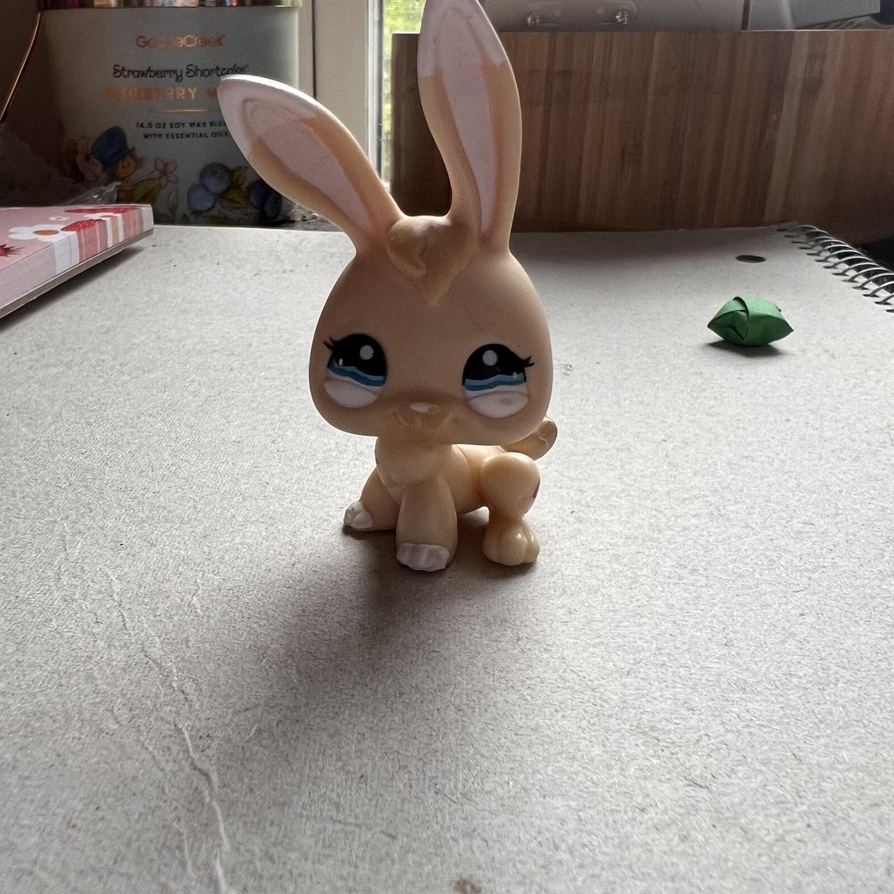 littlest pet shop #lps #littlestpetshop... - Depop