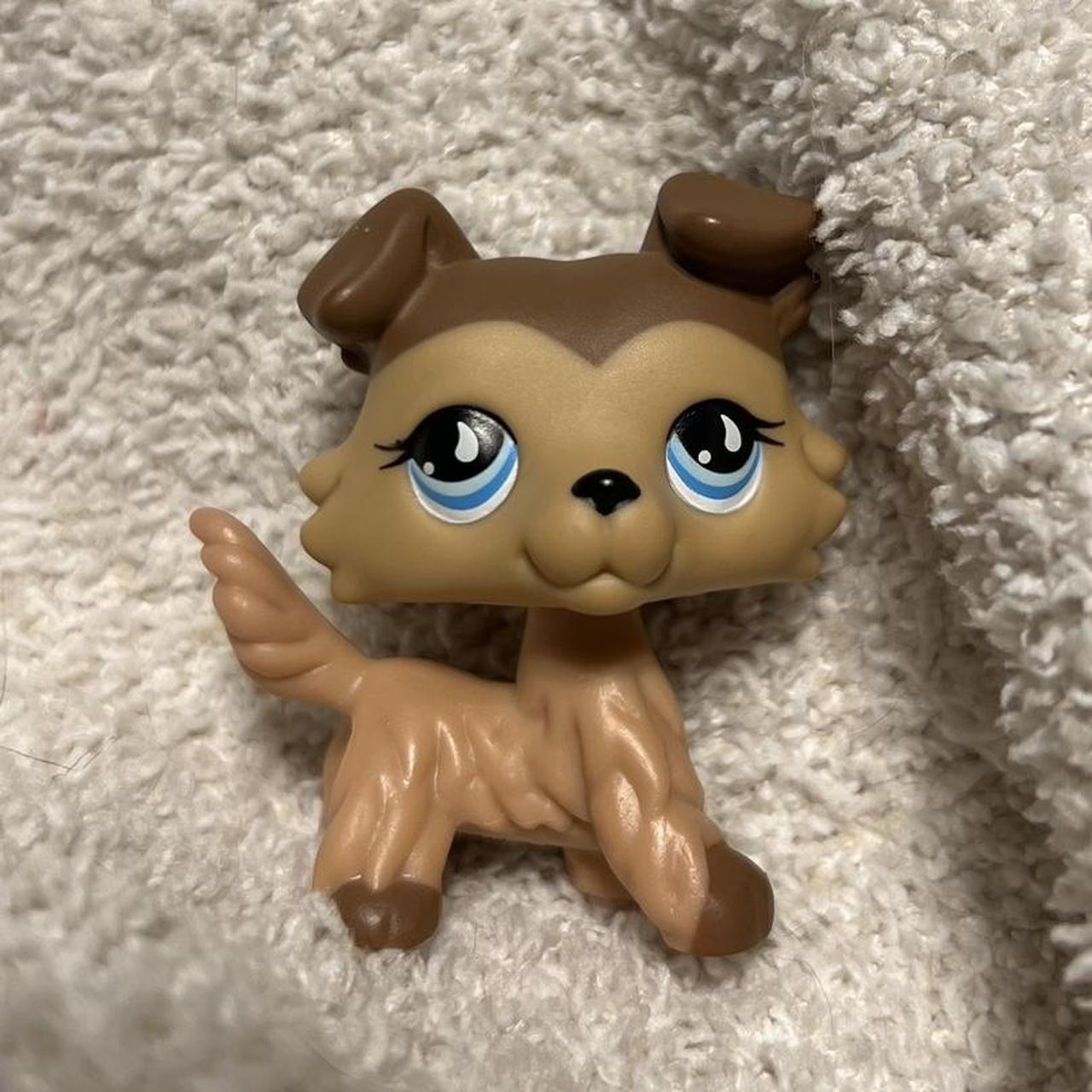 AFTERMARKET lps #853 Border Collie Like new, only... | Depop