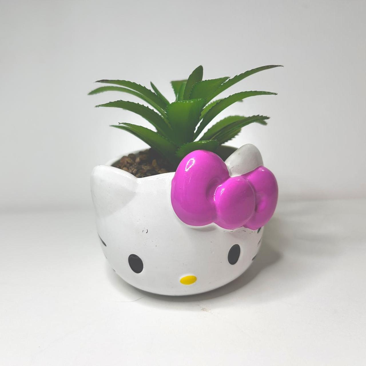 cute hello kitty plant ⋆ ˚｡⋆୨୧˚ -has some damage to... | Depop