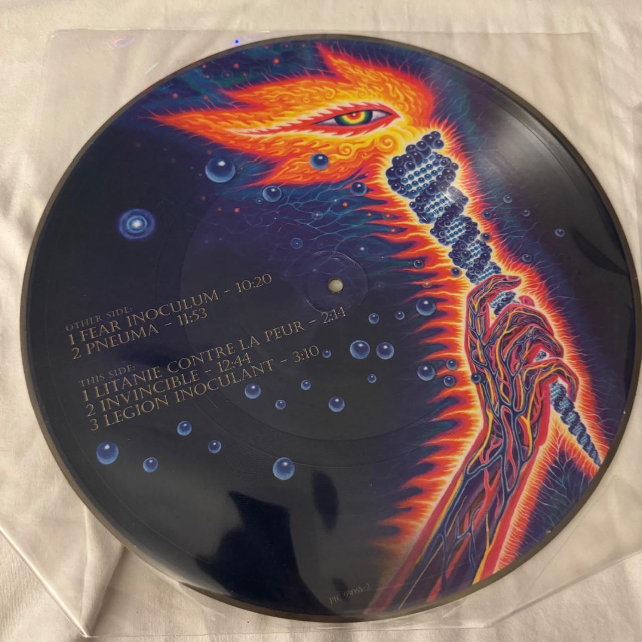 Tool Fear Inoculum Vinyl Record Picture Disc These... | Depop