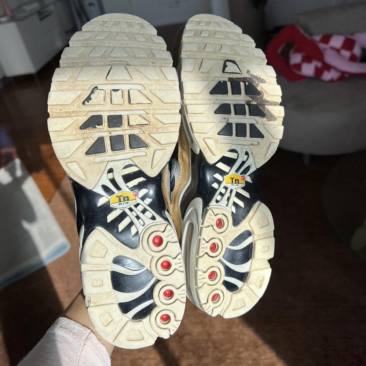 Nike's TNS Air Max Plus Flexes Iridescent Silver &... - Depop