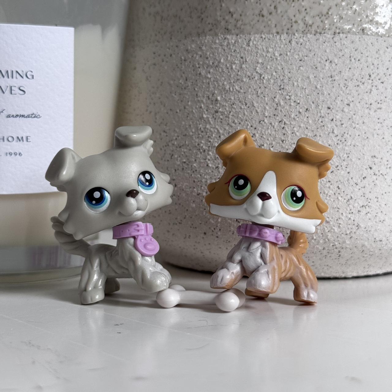 Littlest pet shop collie set Collie g2 #272 Collie... | Depop