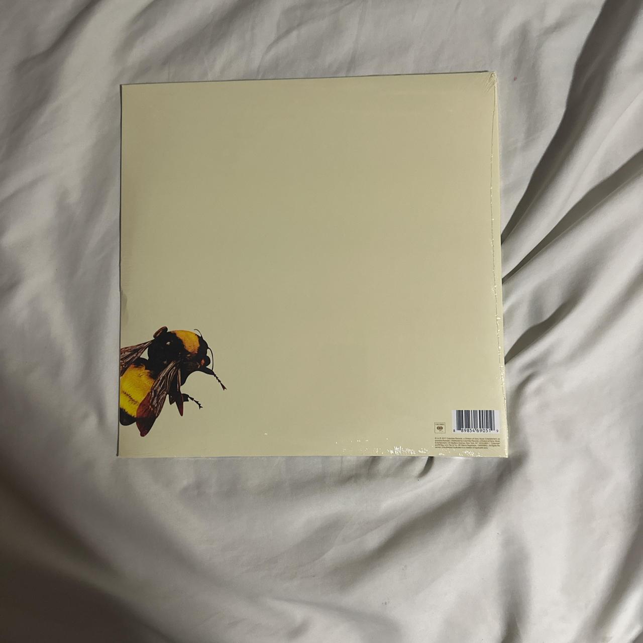 Flower boy vinyl ,Tyler the creator Never been... - Depop