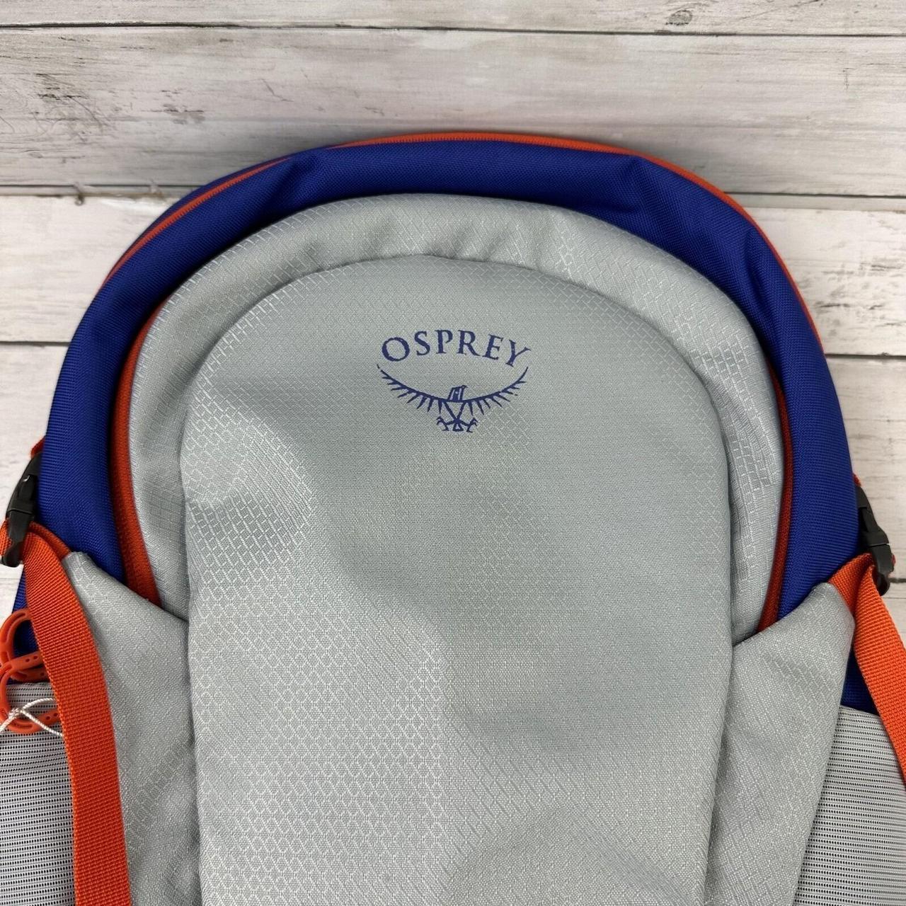 Osprey Daylite Backpack Silver Lining Blueberry 13L... | Depop