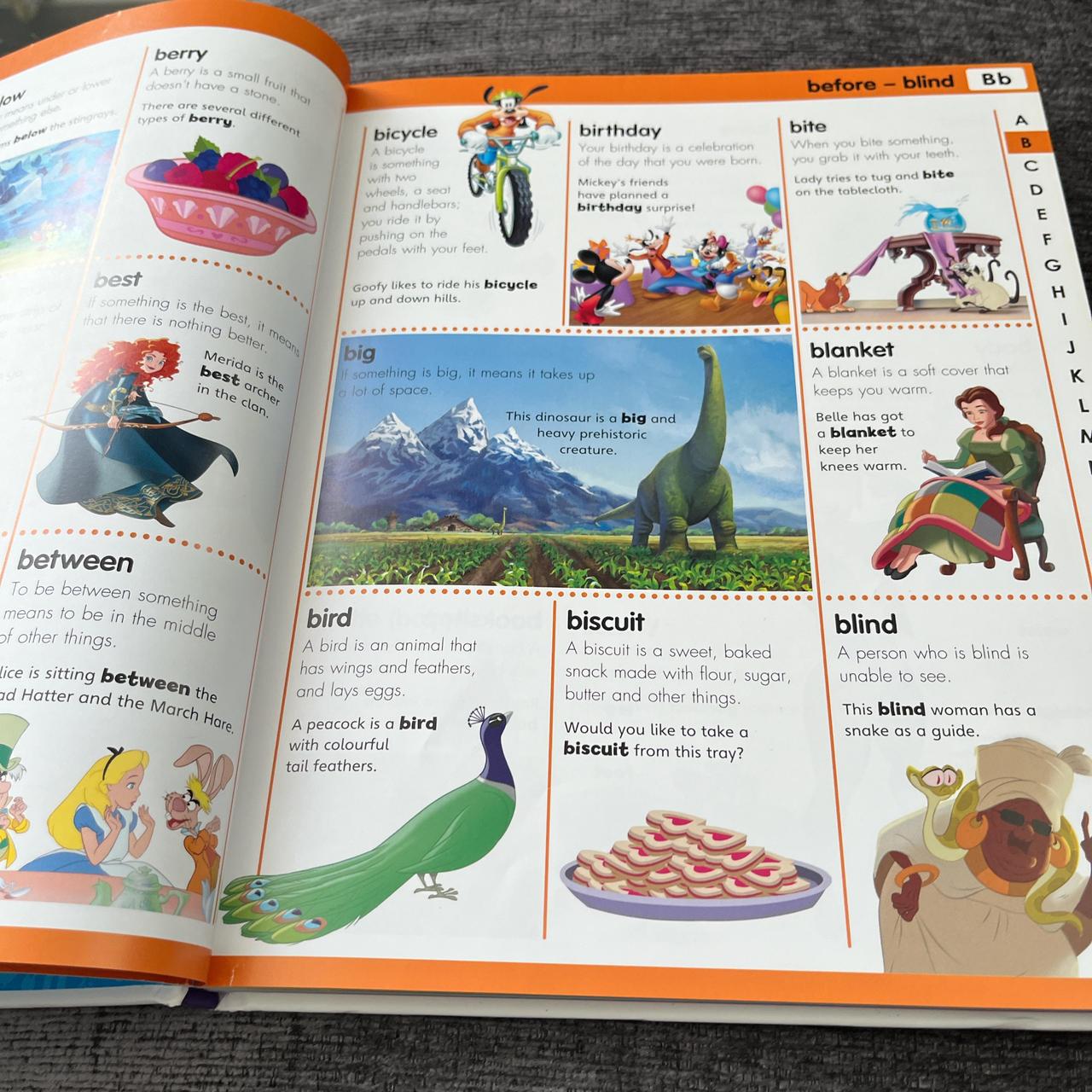 Disney my first picture dictionary hb edition - Depop