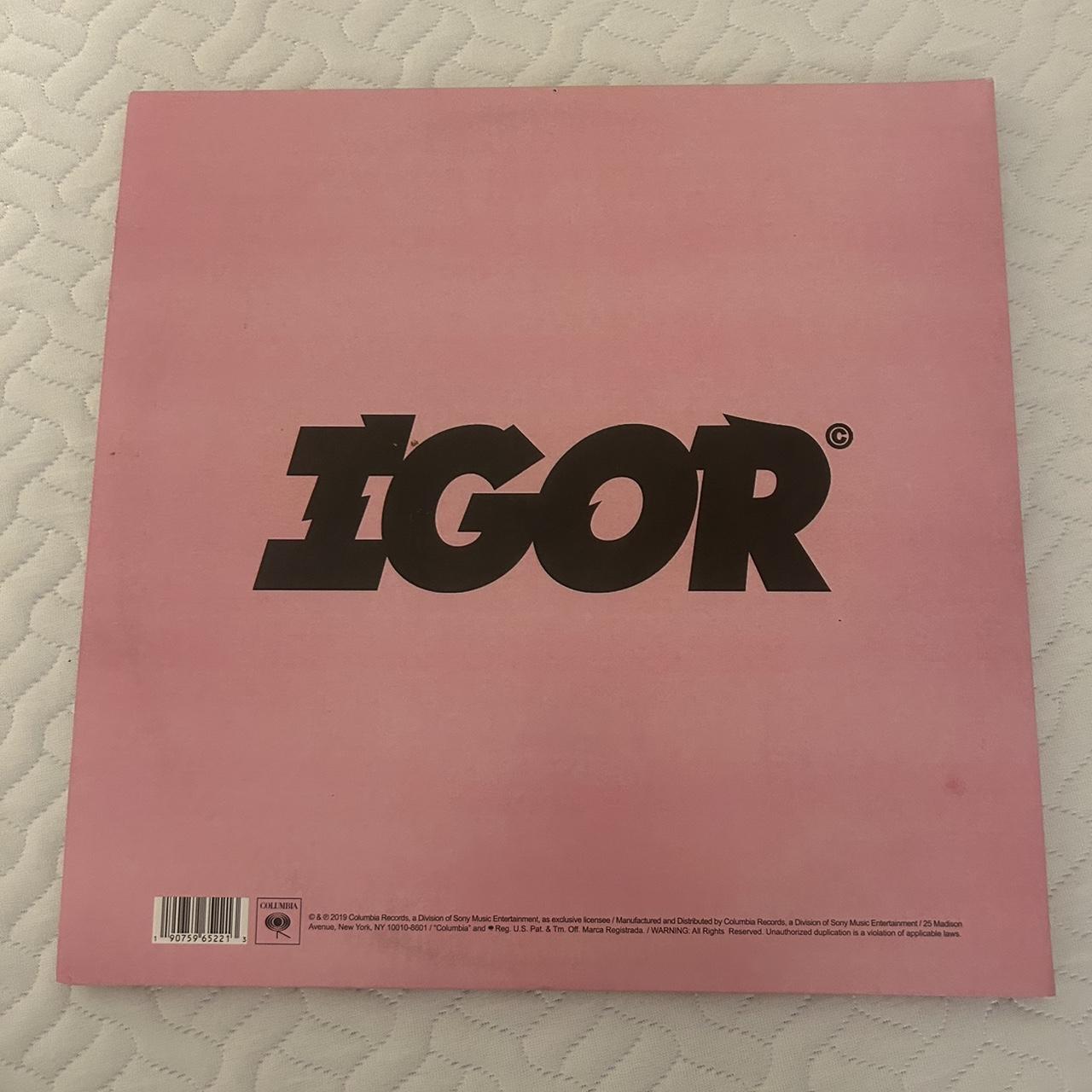 Tyler the creator, IGOR vinyl - Depop