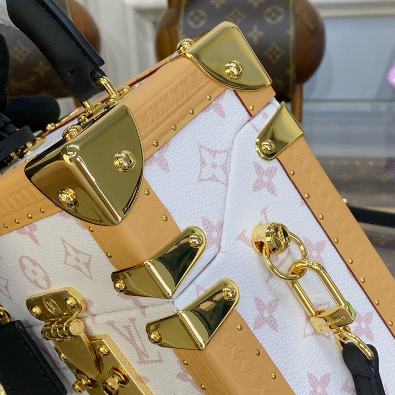 Louis Vuitton Camera Box Monogram Bag - Depop