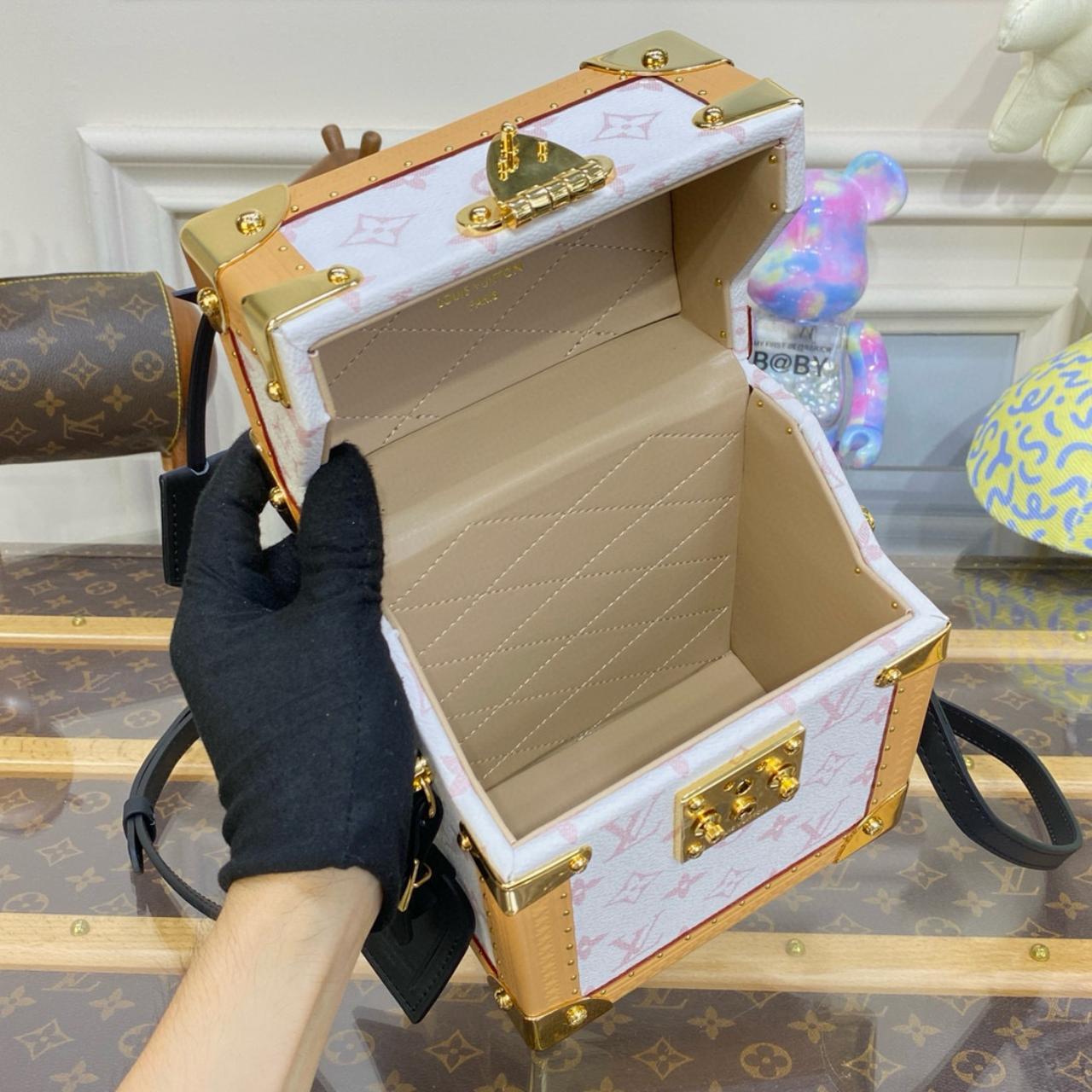 Louis Vuitton Camera Box Monogram Bag - Depop