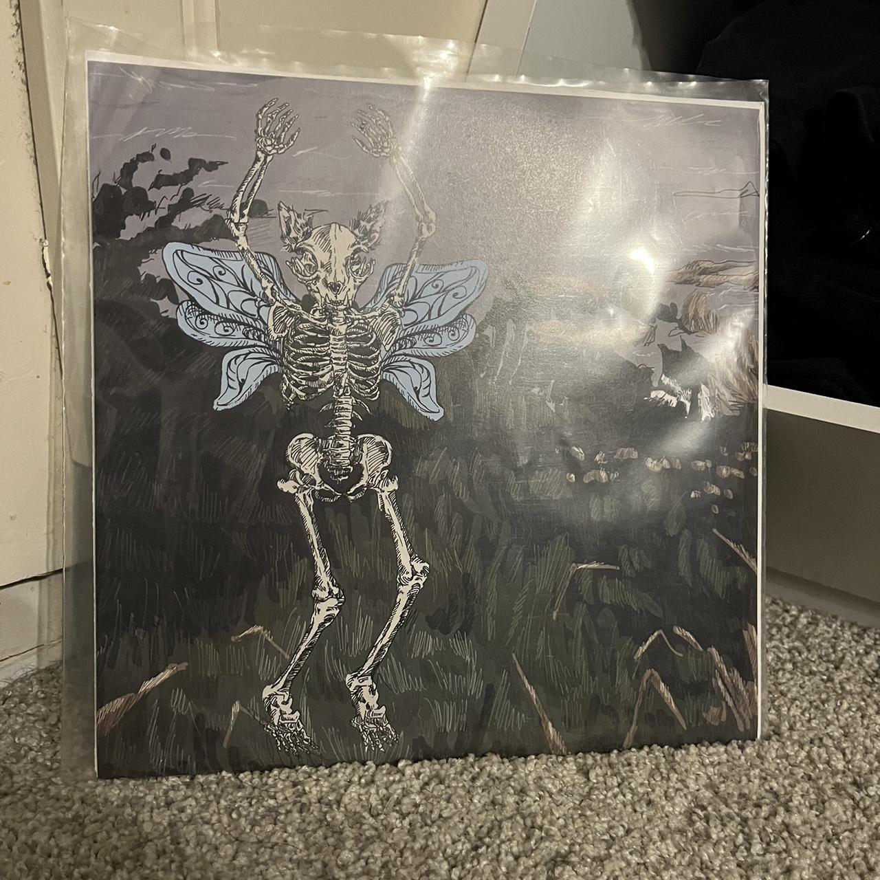 Cicadahead - Songs for bugs ten inch lathe cut... - Depop