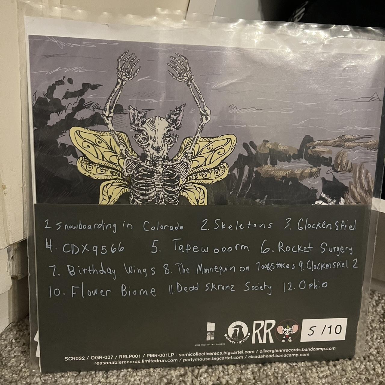Cicadahead - Songs for bugs ten inch lathe cut... - Depop