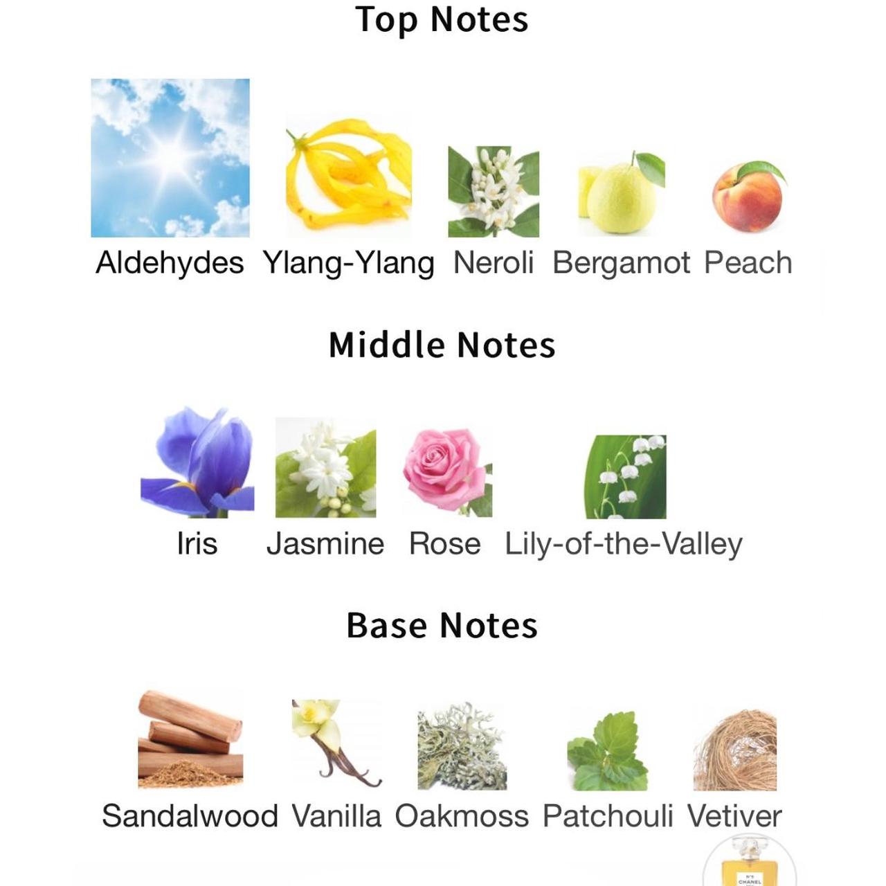 Chanel No 5 Eau de Parfum Chanel for women 100 ml ... - Depop